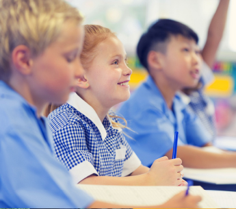 Primary - MSP Photography