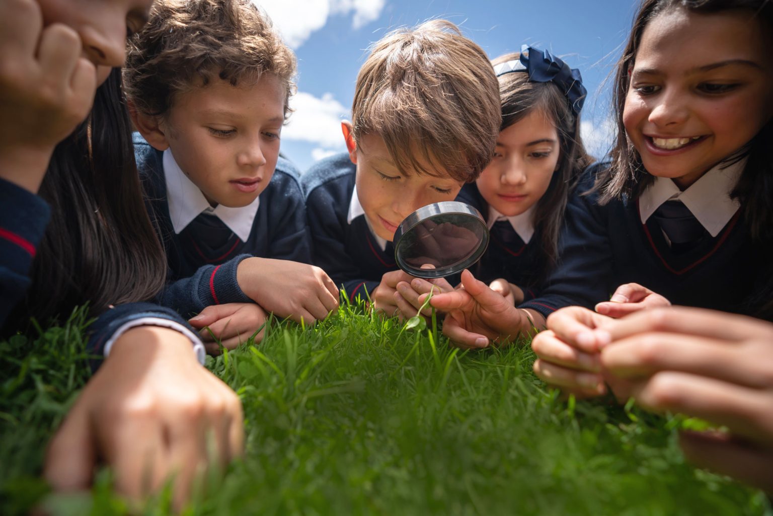 Photography - MSP Photography